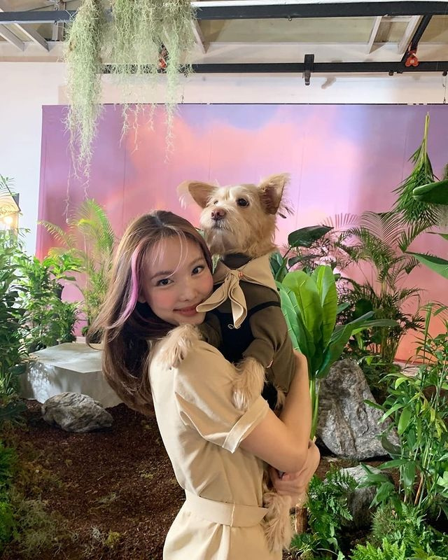 TWICE Nayeon Shows Visuals in New Selca With a Puppy
